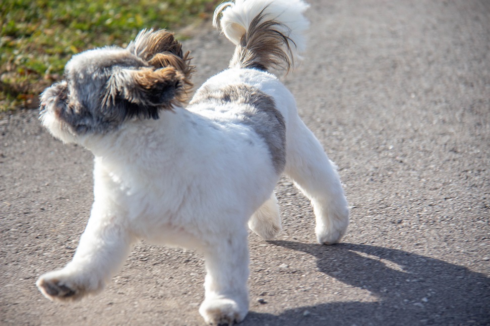 Guido Media ~ Gallery